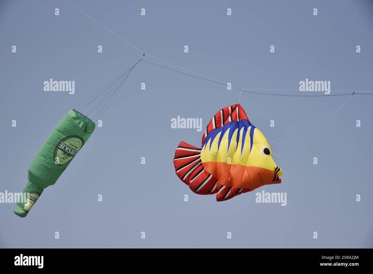 Kite like fish, International Kite Festival, Tithal, Valsad, Gujarat ...