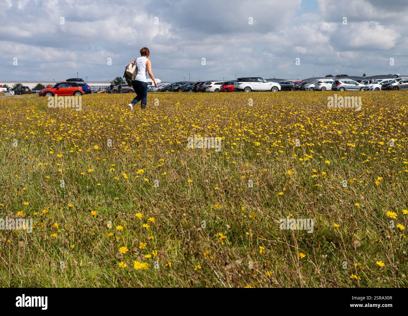 A woman walking across the field towards the car park at Wellesbourne ...