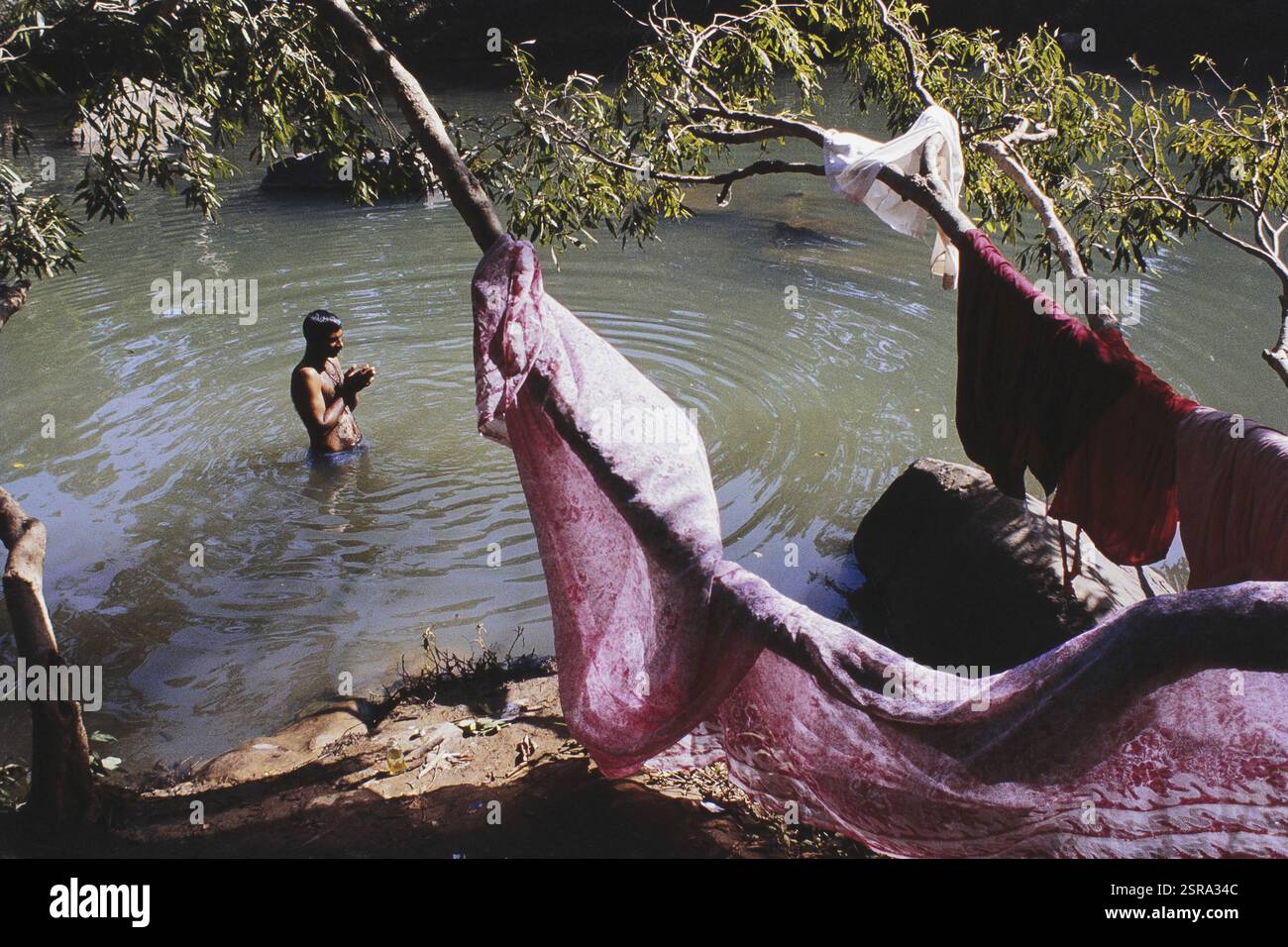 Man praying while bathing in river, sari drying at riverside, India ...