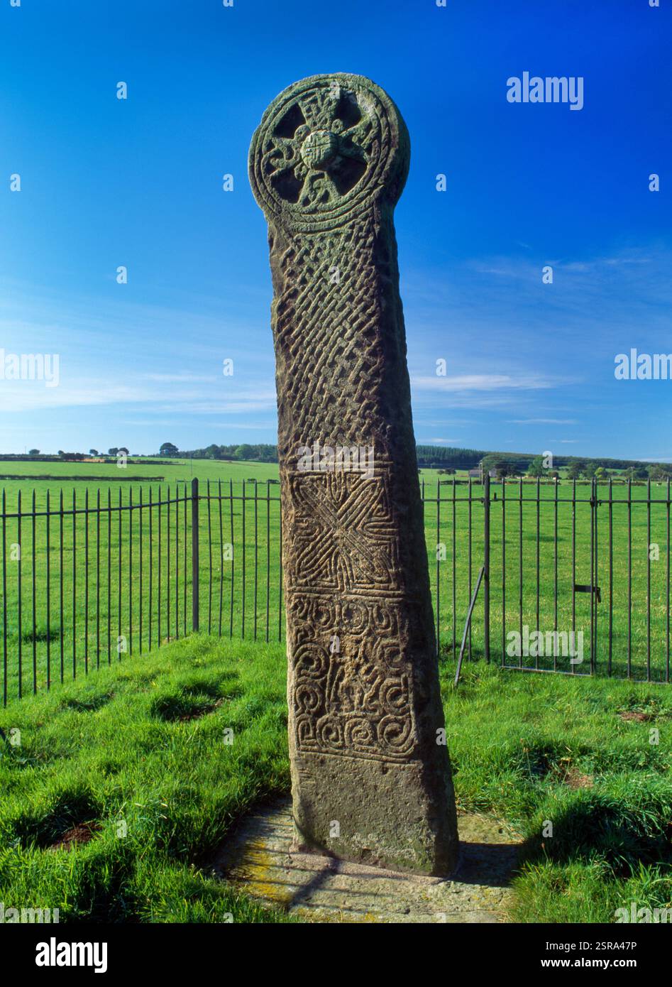 E face of Maen Achwyfan Cross, Whitford, Flintshire, Wales, UK, a ...