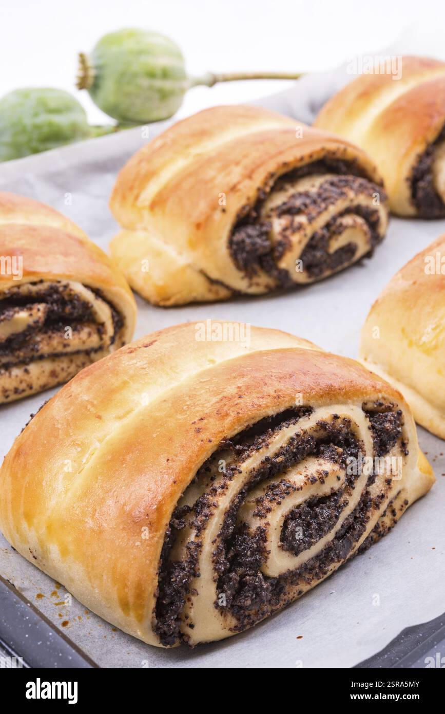 Quick Poppy Seed Rolls Stock Photo - Alamy