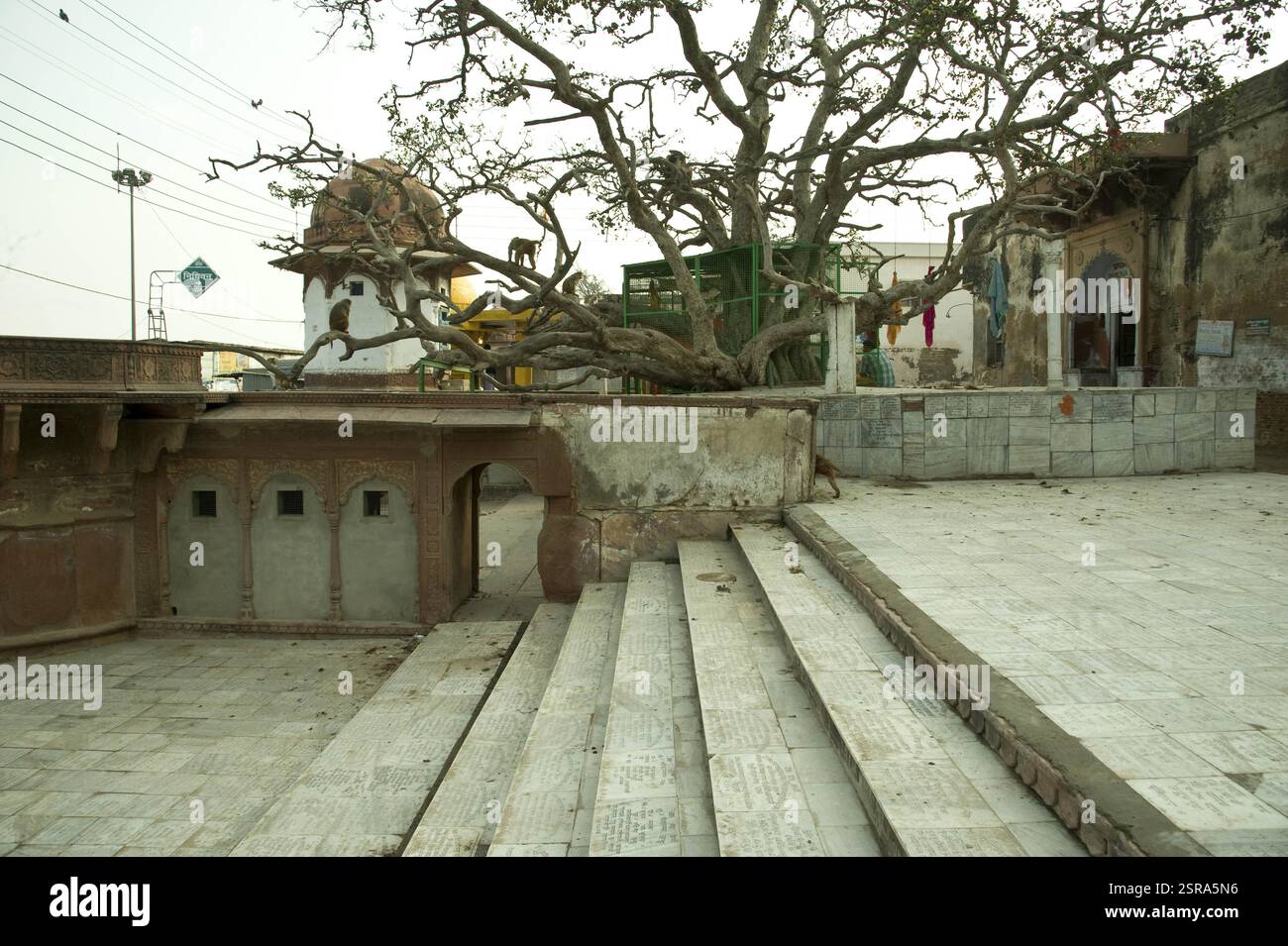 Chir ghat, vrindavan, mathura, uttar pradesh, india, asia Stock Photo ...