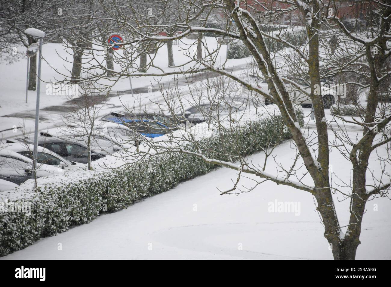 Copenhagen/ DenmarK/15 FEBRUARY 2025/ danish weather snow fall in ...