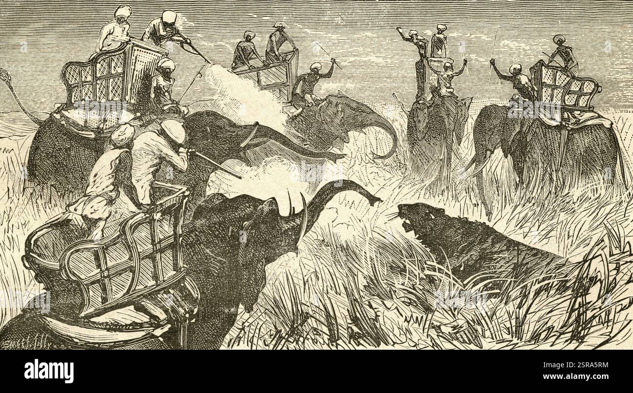 Hunters mounted on elephants, during tiger hunt in India Stock Photo ...