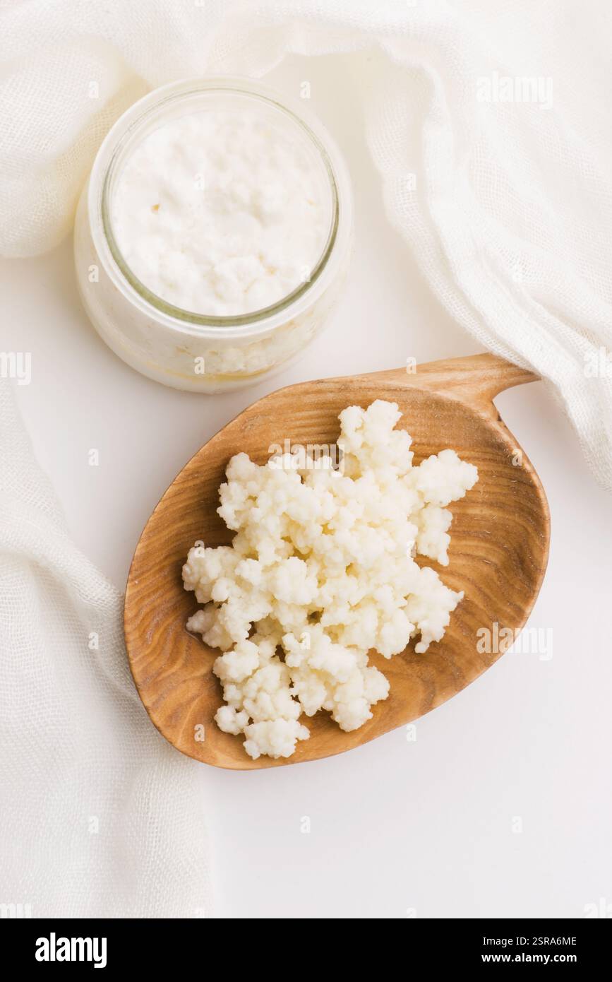 Milk kefir grains in spoon. Yeast bacterial fermentation starter Stock ...