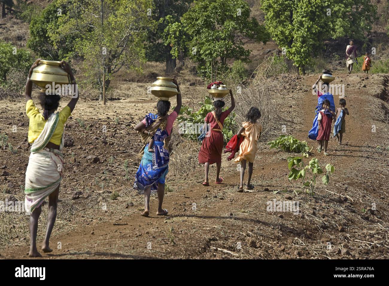 Water shortage, dindori, Madhya Pradesh, India, Asia Stock Photo - Alamy