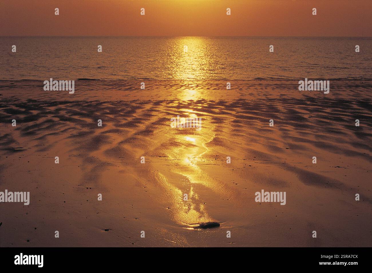 Sunset on Tithal beach, Gujarat, India, Asia Stock Photo - Alamy