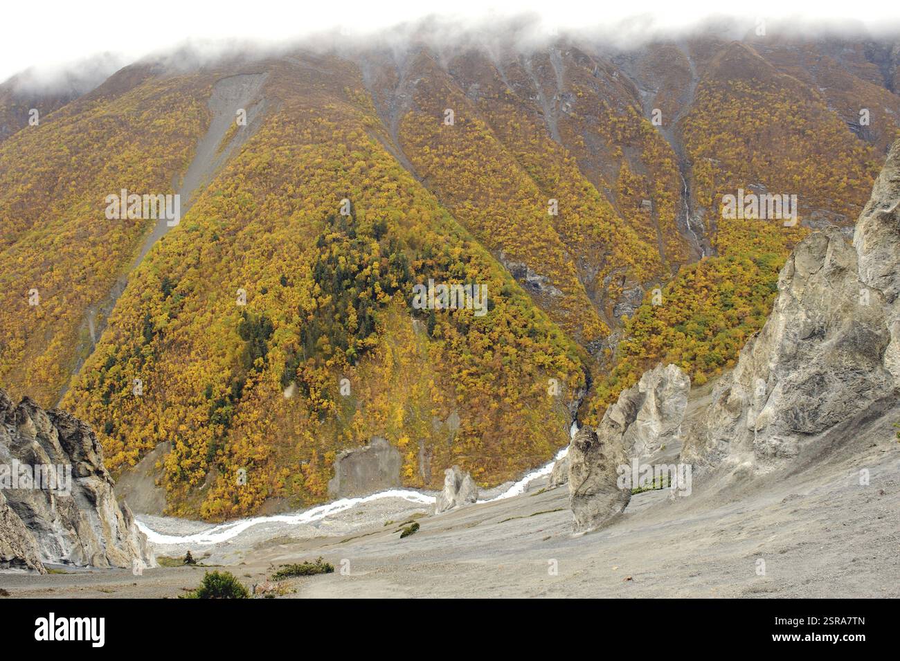 Thilicho lake, Khangsar, Manang, Nepal, Asia Stock Photo - Alamy