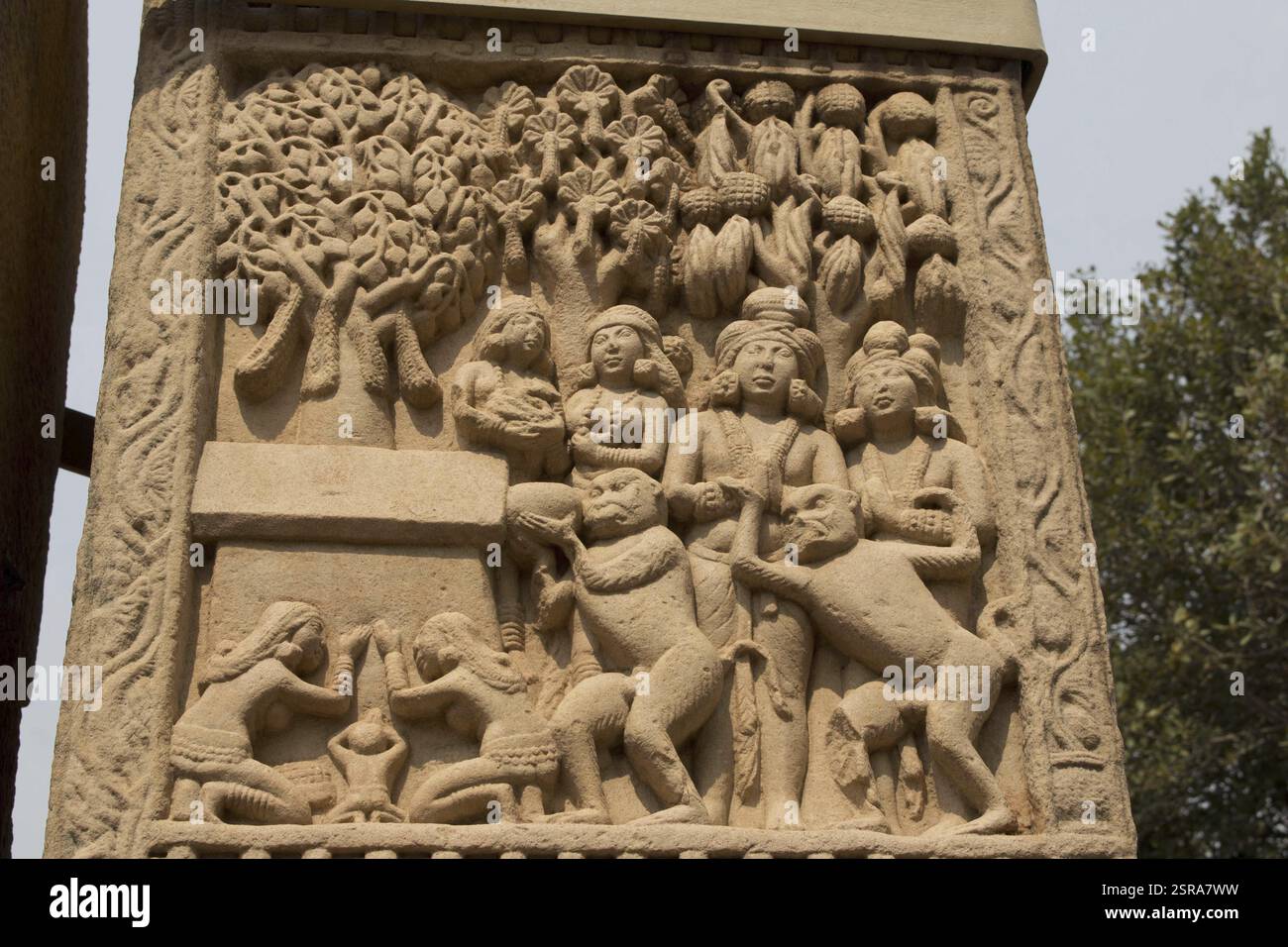 Statue carved on pillar, sanchi stupa, madhya pradesh, India, Asia ...