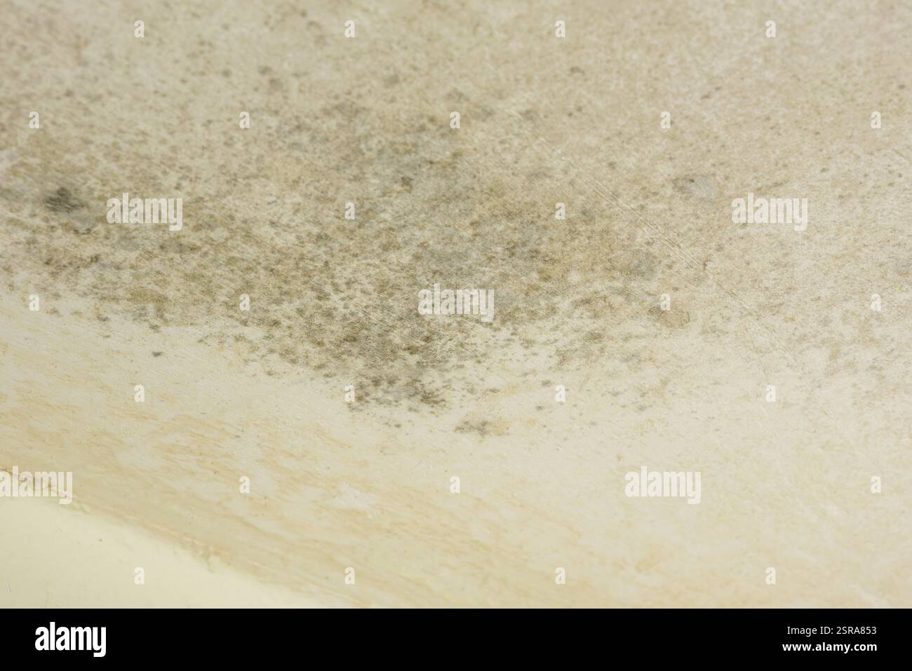 Wall cover with mould Stock Photo - Alamy