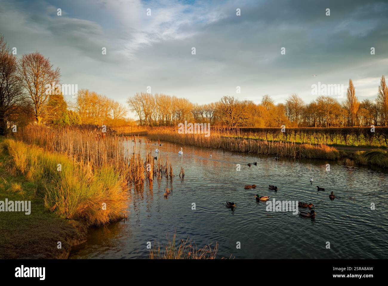 A setting winter Sun brings an orange glow to the Middle Lake of ...