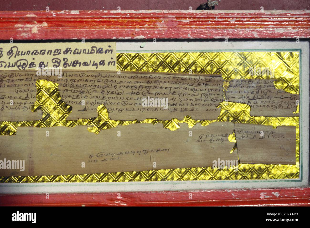 Palm leaf manuscript of saint Thiyagaraja one of Trinity of Karnataka ...