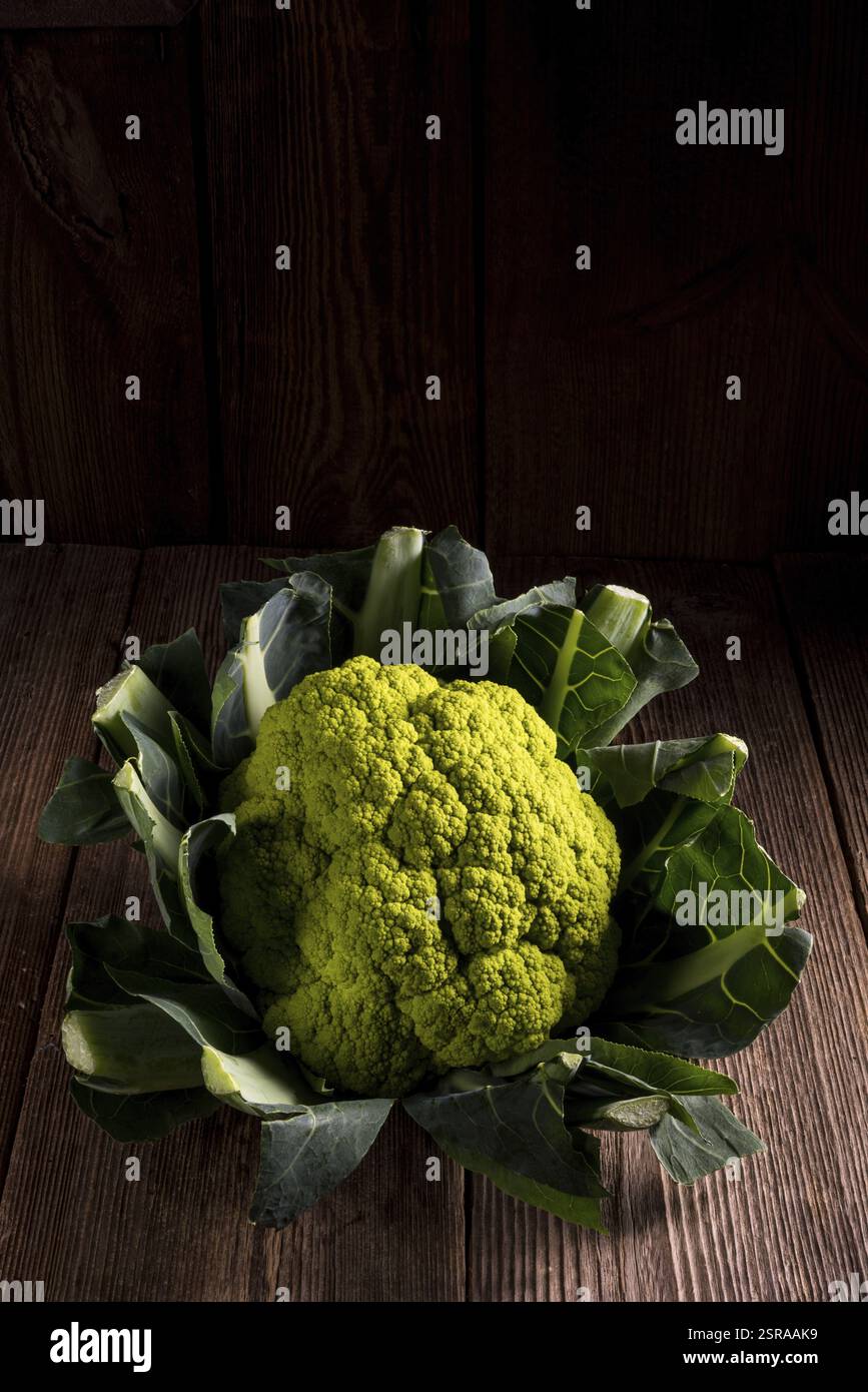 Green cabbage plants hi-res stock photography and images - Alamy