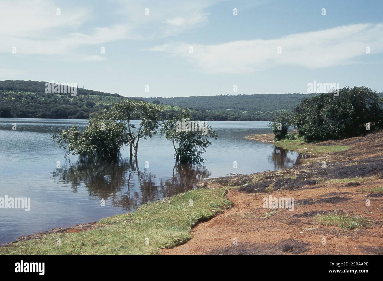 Kaas Lake in Satara, Maharashtra, India, Asia Stock Photo - Alamy