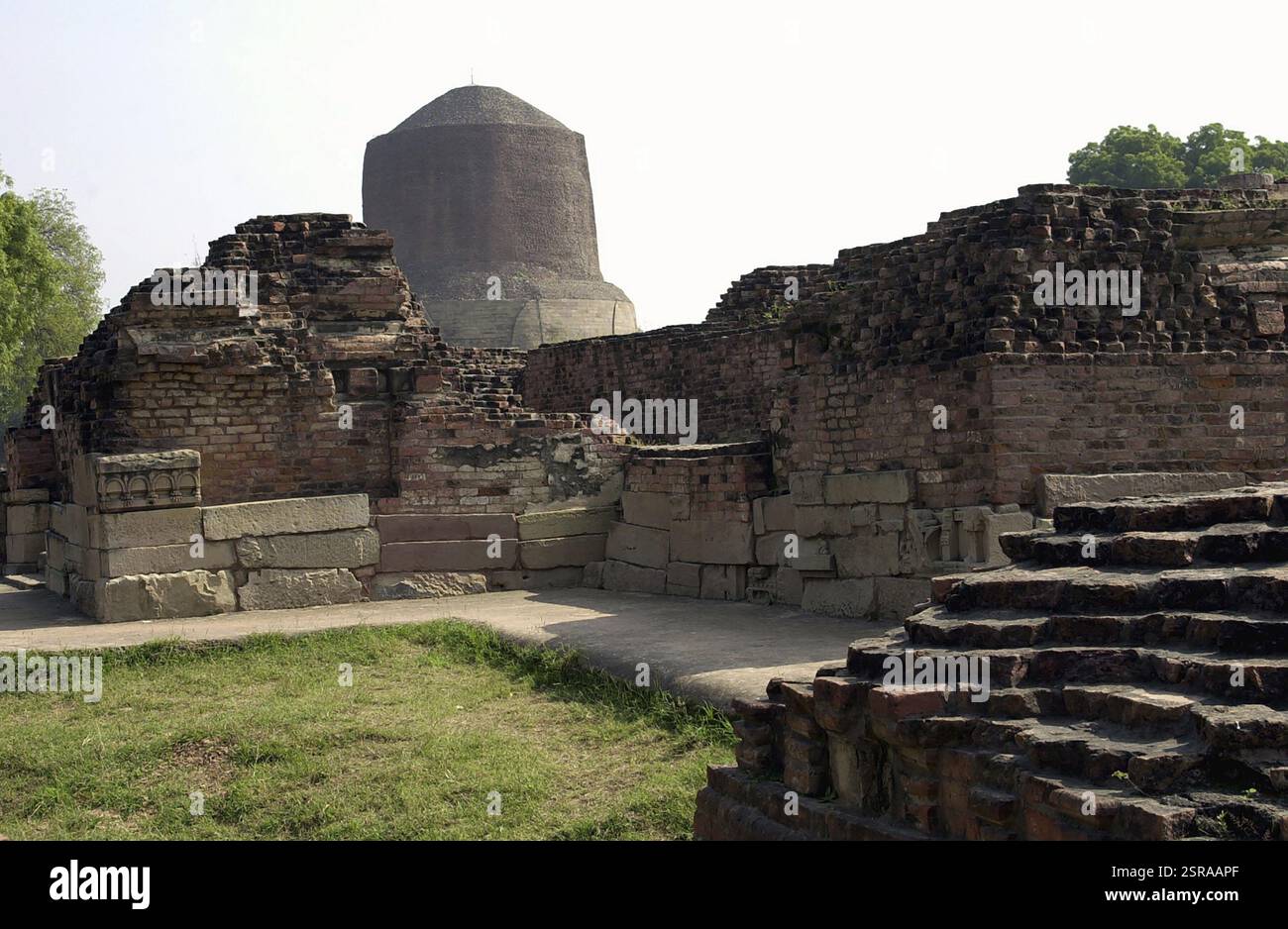 Dhamekh stupa, sarnath, varanasi, uttar pradesh, India, Asia Stock ...