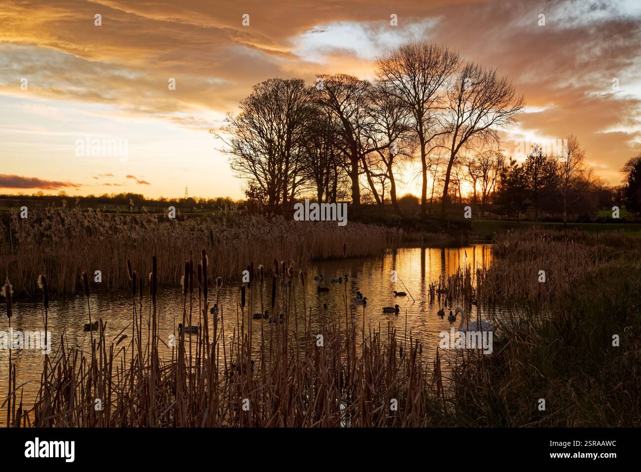 The Sun has set leaving a dramatic winter sunset over the Middle Lake ...