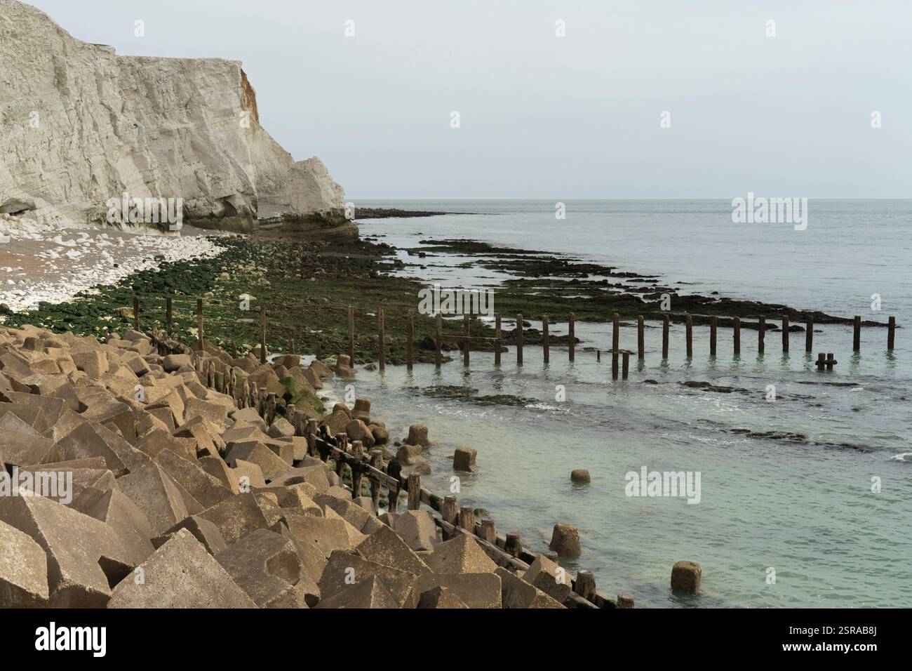 Coastal defense structures at the White Cliffs of Seaford, UK. Concrete ...