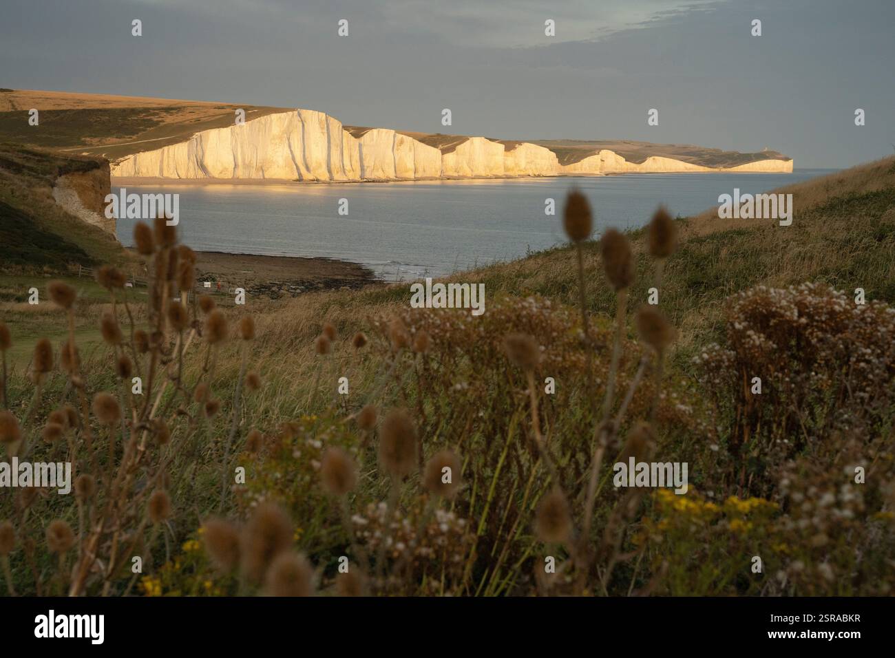 The iconic White Cliffs of Seven Sisters, England, bathed in golden ...