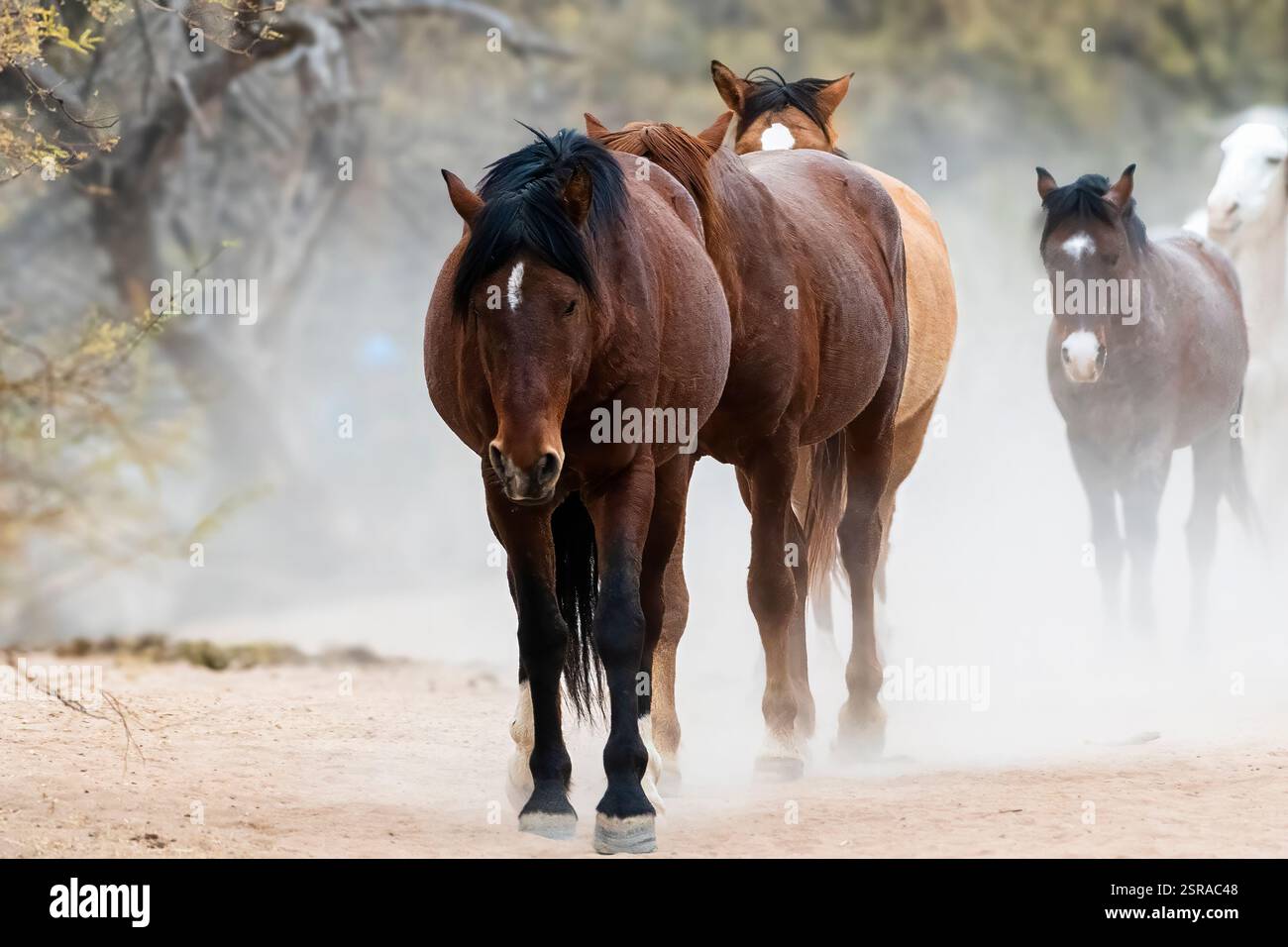 Forming the Line Stock Photo - Alamy