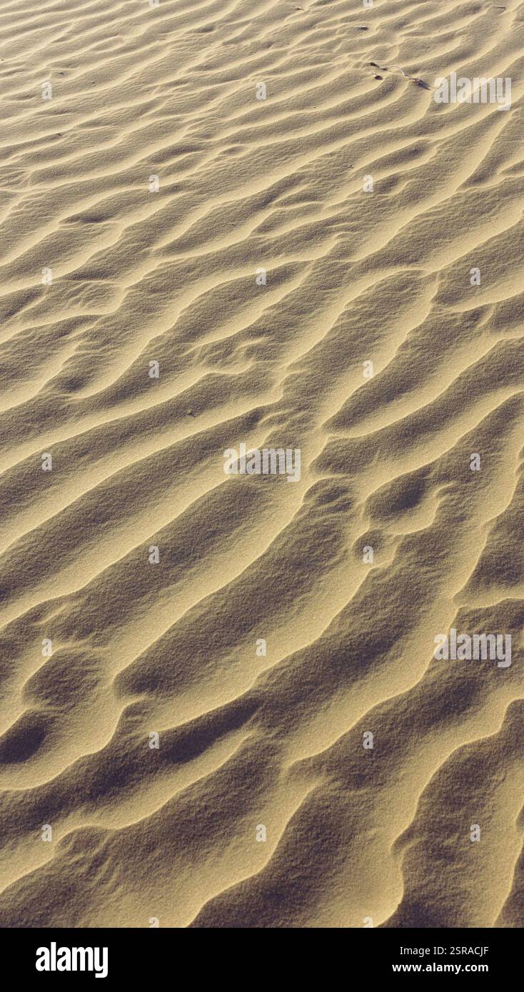 Sand patterns, Rajasthan, India, Asia Stock Photo - Alamy