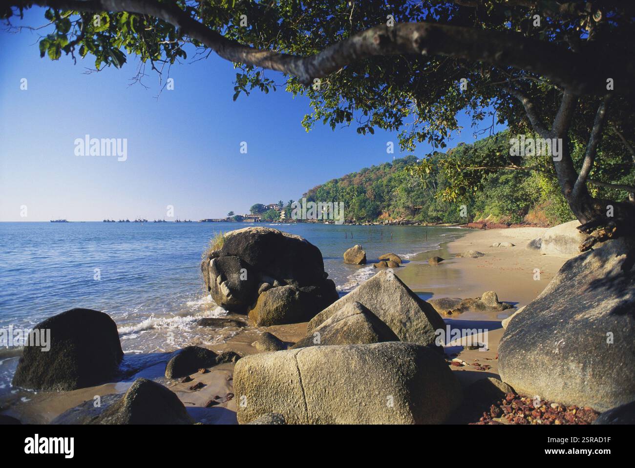 Vengurla beach, Maharashtra, India, Asia Stock Photo - Alamy