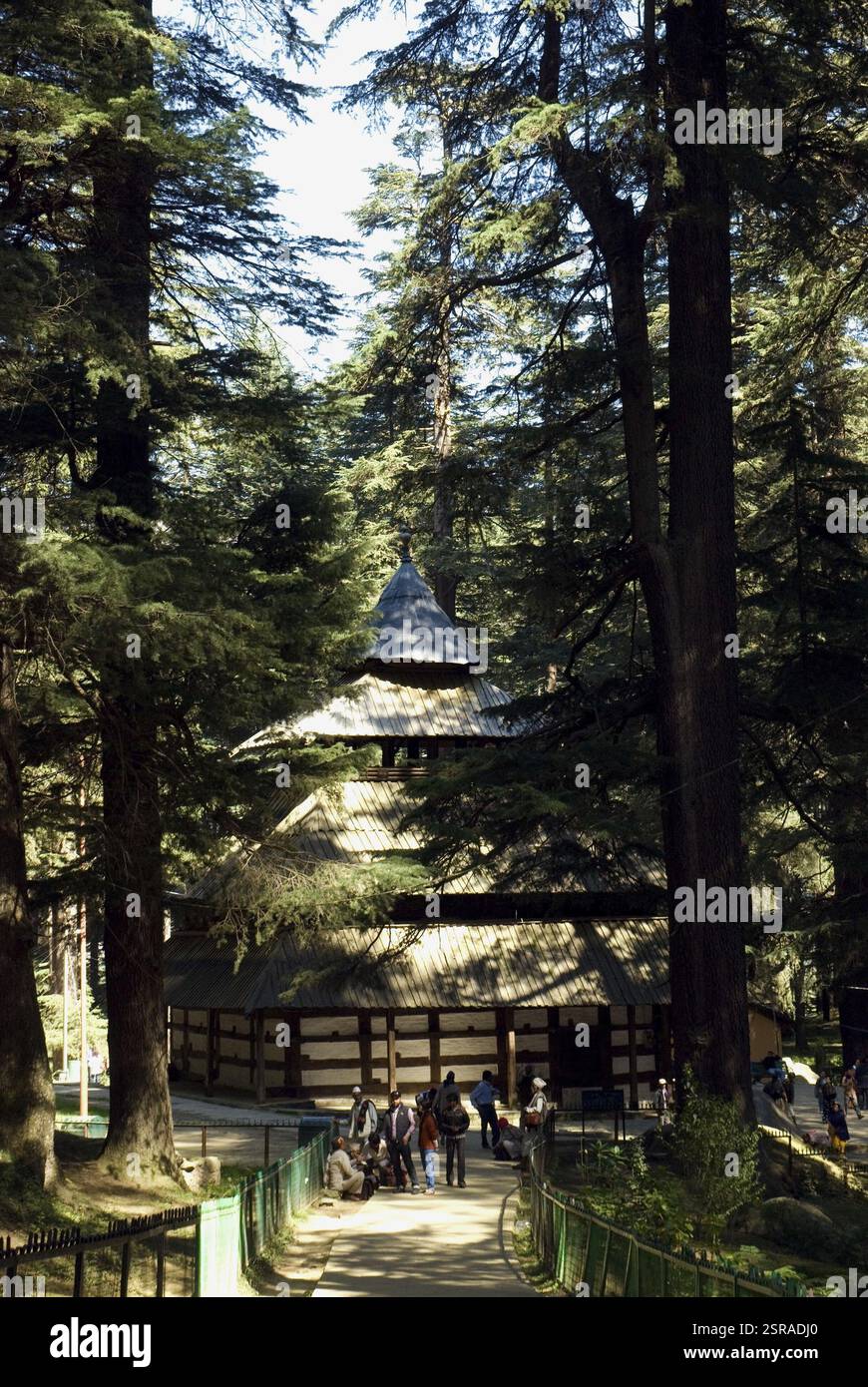 Hadimba temple at manali, Himachal Pradesh, India, Asia Stock Photo - Alamy