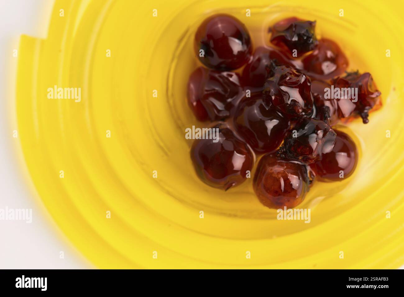 Molecular fruit spaghetti with rowan in syrup Stock Photo - Alamy