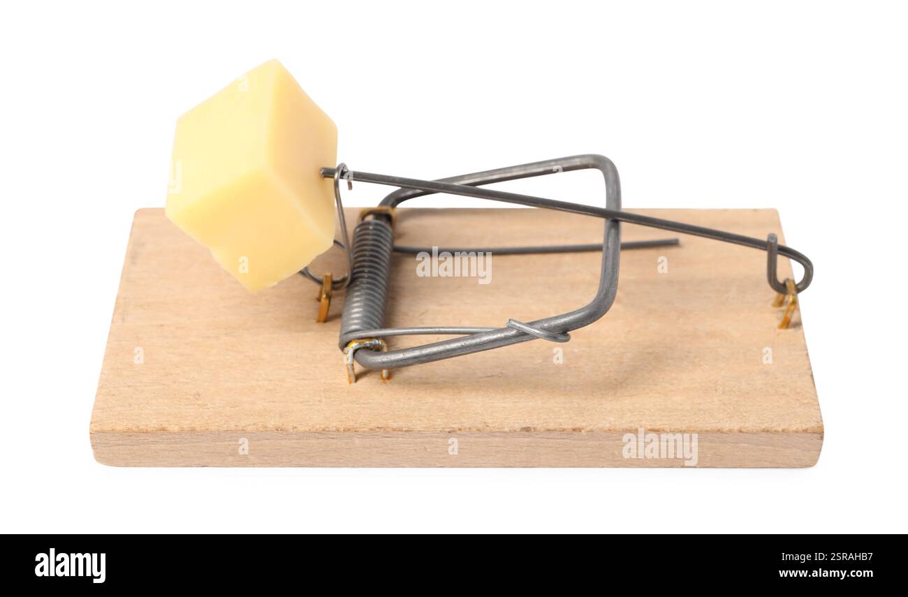 Spring-loaded bar mousetrap with piece of cheese isolated on white ...