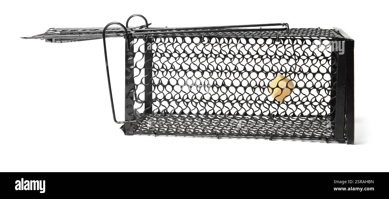 One metal mouse trap with bait isolated on white Stock Photo - Alamy
