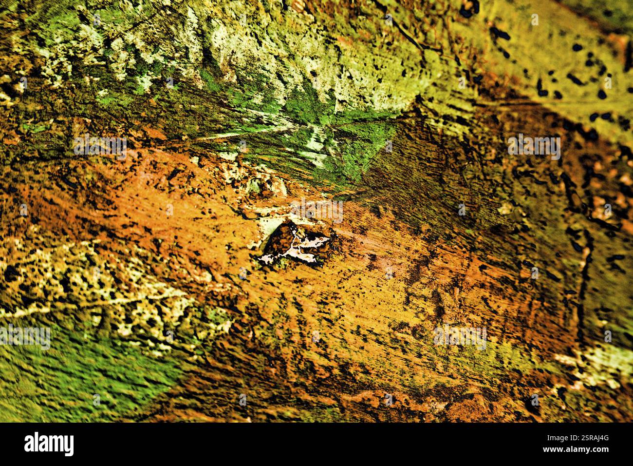 Modern fine art computer graphics designs paintings creative curve and ...