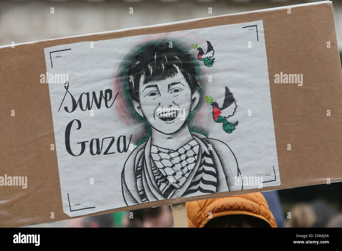 Dublin, Ireland - 15th February 2025 - A placard with a drawing of a ...