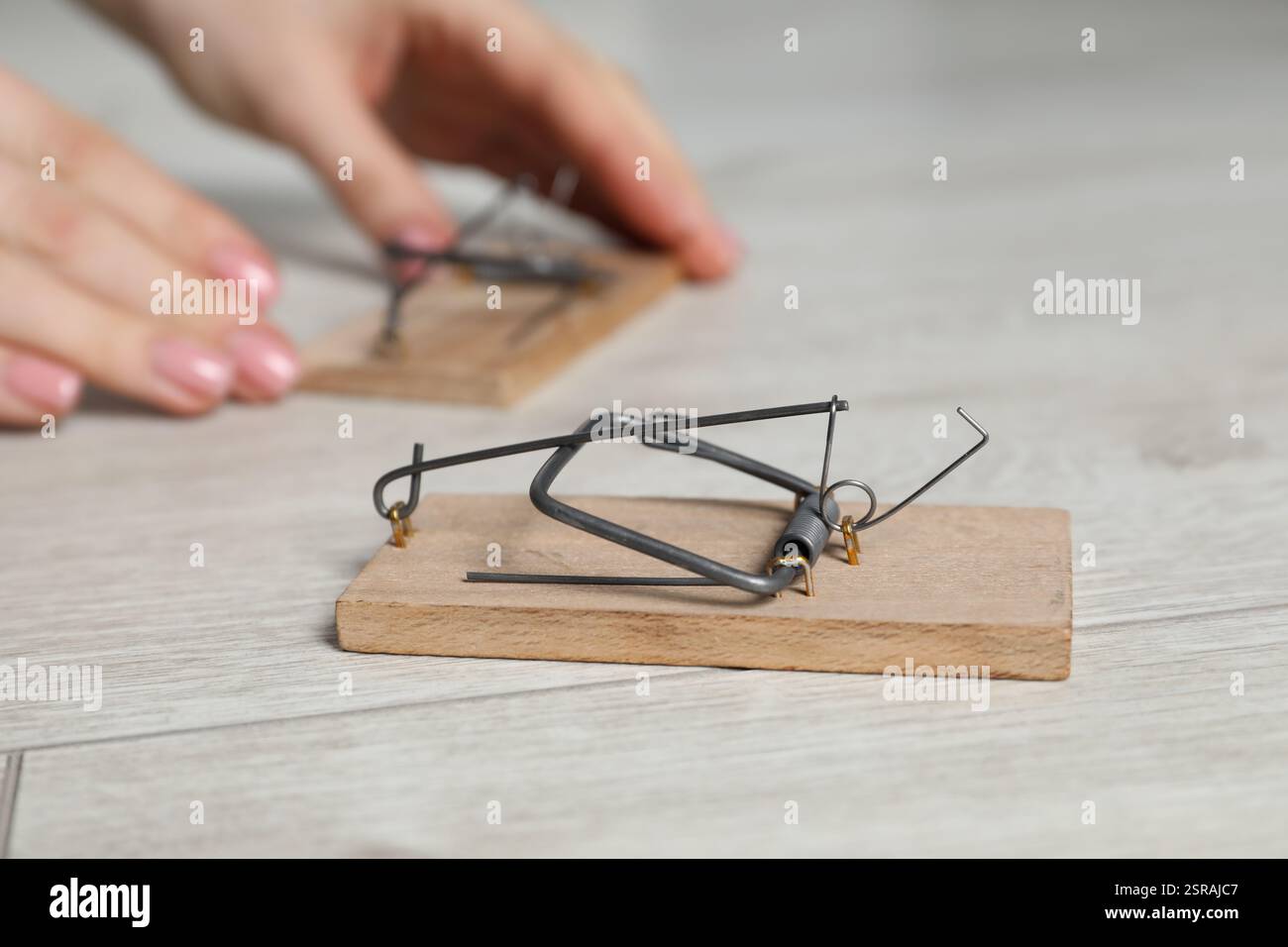 Woman with spring-loaded bar mousetrap indoors, closeup Stock Photo - Alamy