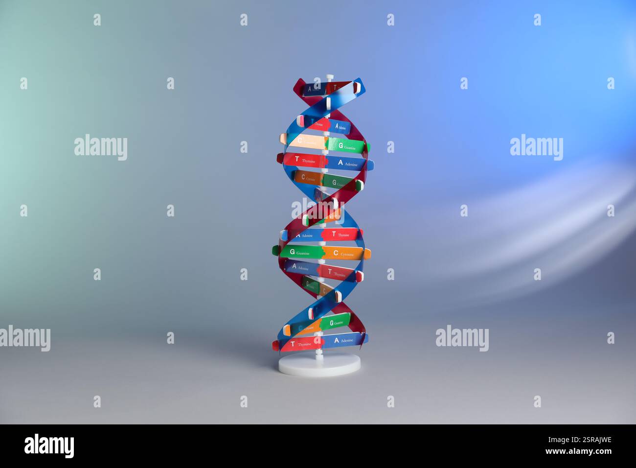 One DNA structure model on color background Stock Photo - Alamy
