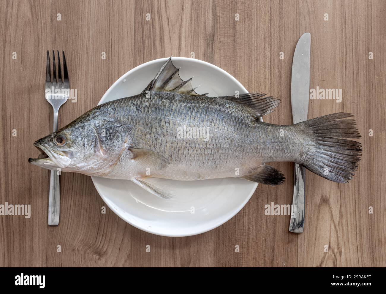 Raw fish - Barramundi (Lates calcarifer), known as Asian sea bass on a ...