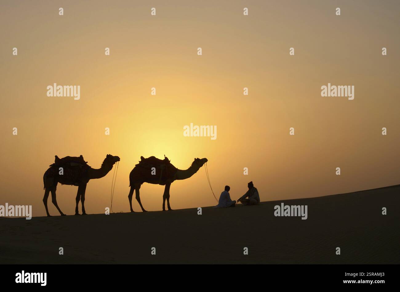 Camels and keepers, Sam desert sand dunes, Jaisalmer, Rajasthan, India ...