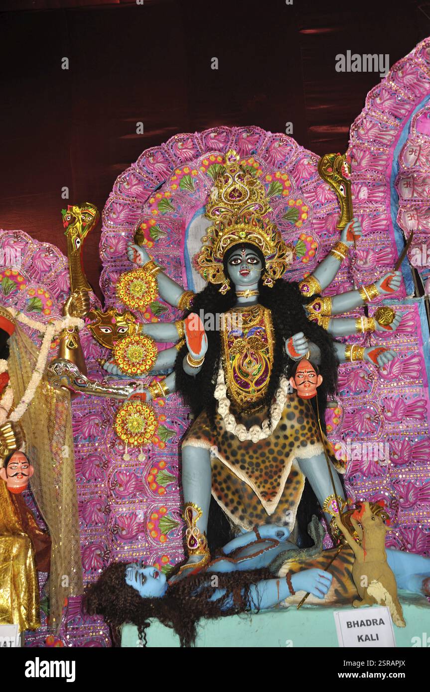 Goddess kali festival, kolkata, west bengal, india, asia Stock Photo ...