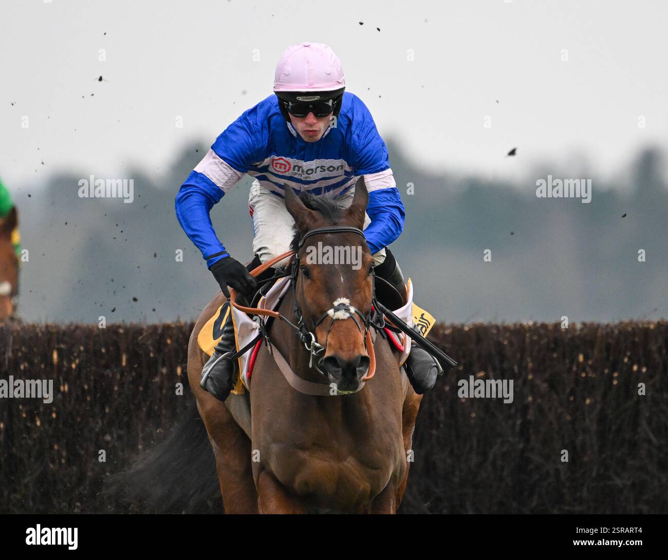Ascot Racecourse, Berkshire, England. 15 February, 2025. Pic D'Orhy ...