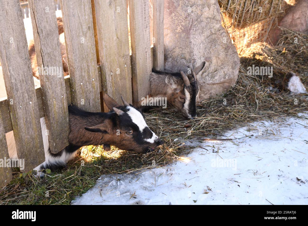 Animation on nature landscapes ecology hi-res stock photography and ...