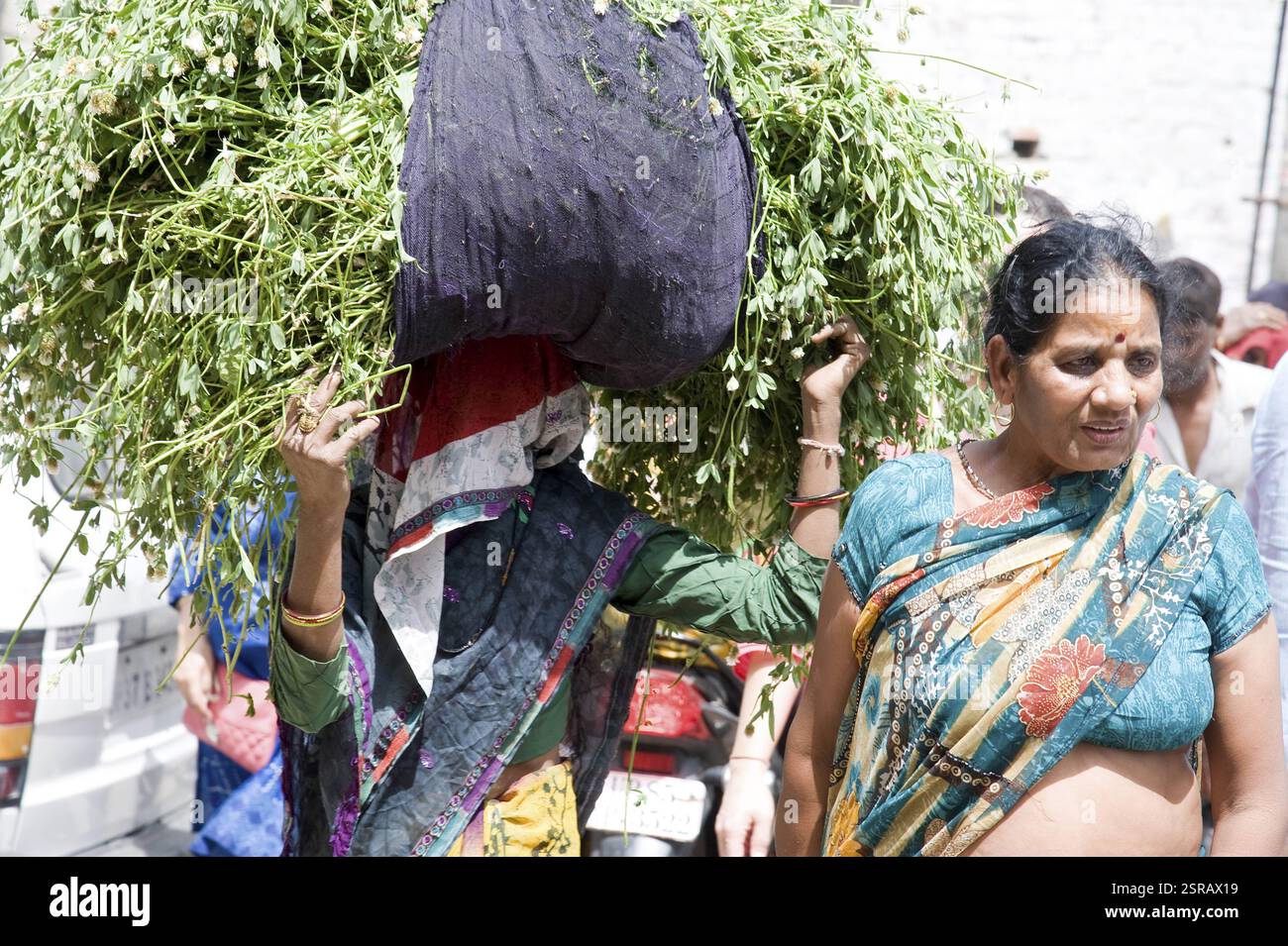 Woman carrying green grass, mathura, uttar pradesh, india, asia Stock ...