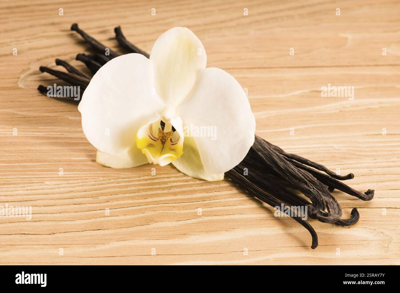Vanilla pods and flower, poland Stock Photo - Alamy