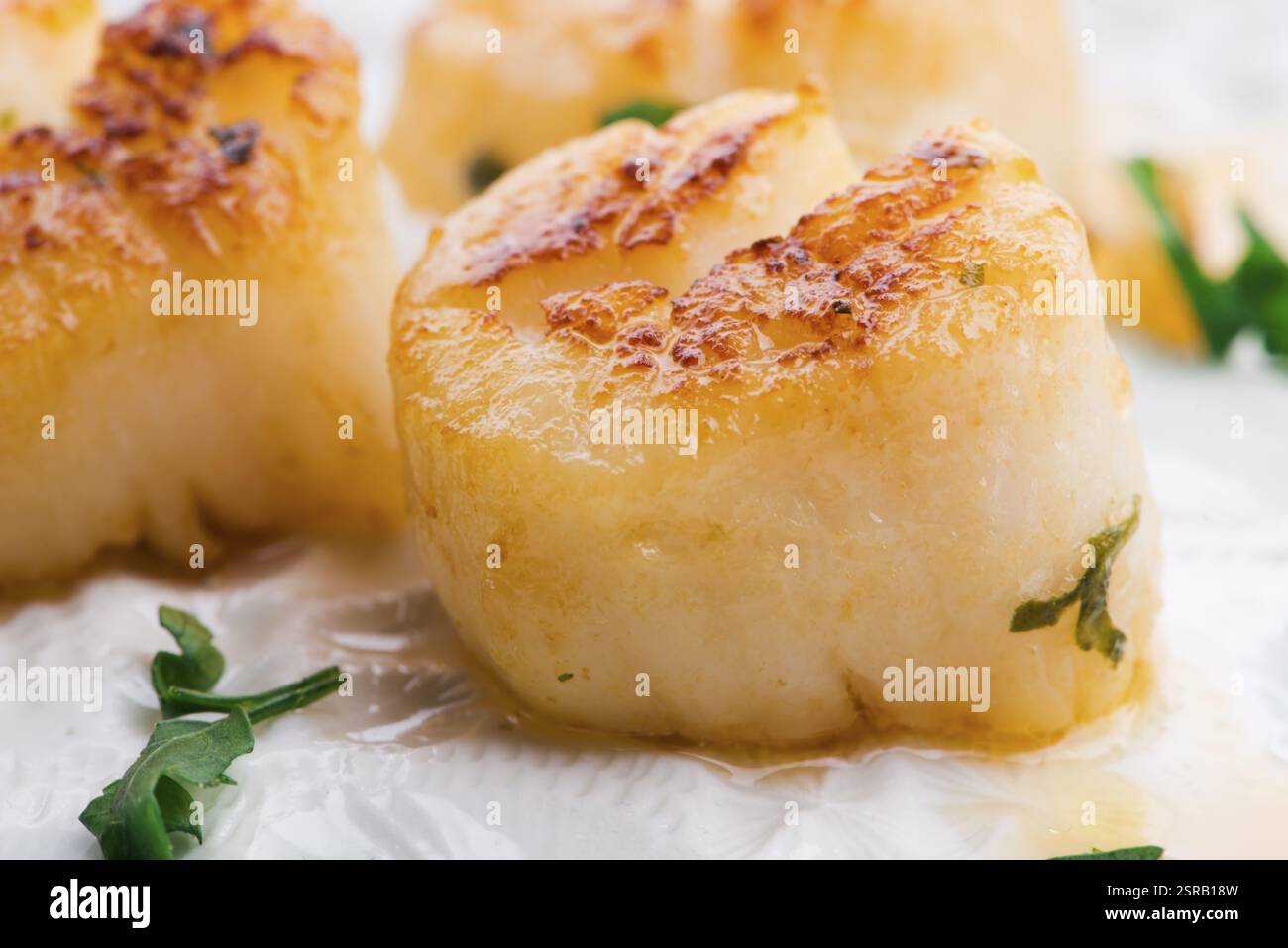 Close up of pan seared sea scallops Stock Photo - Alamy