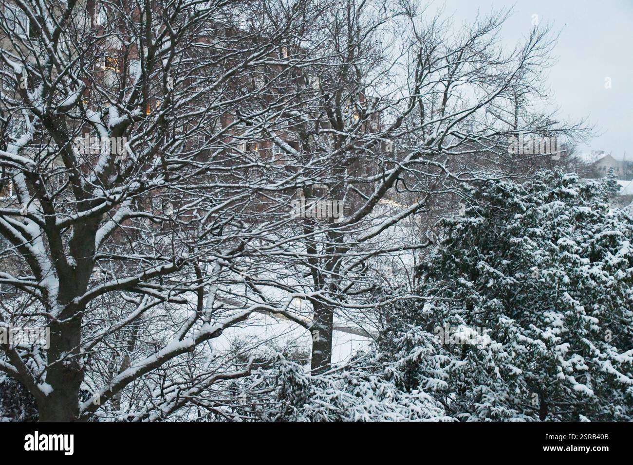 Copenhagen/ DenmarK/15 FEBRUARY 2025/ danish weather snow fall in ...