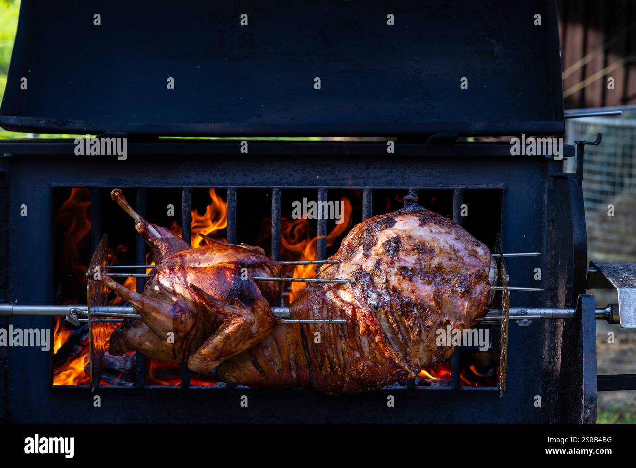 Roasting pork and turkey on spit Stock Photo - Alamy