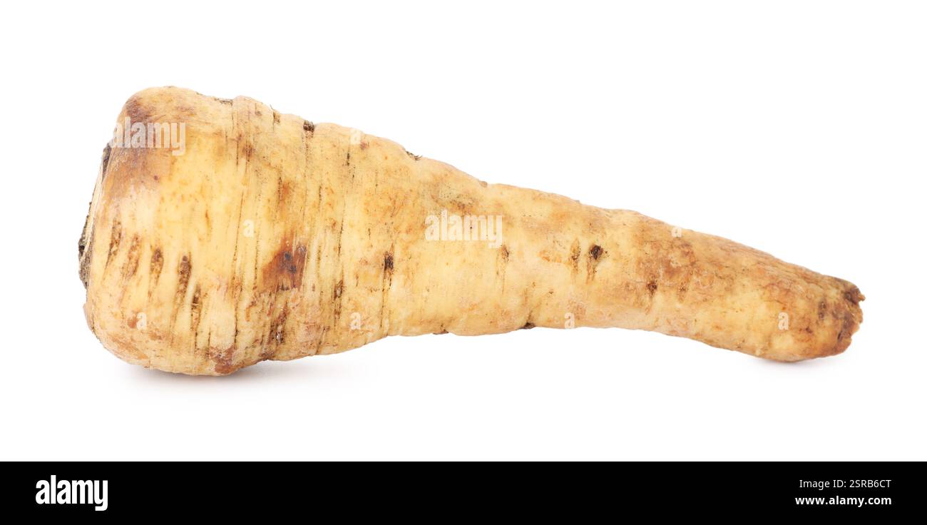 One fresh parsnip isolated on white. Root vegetable Stock Photo - Alamy