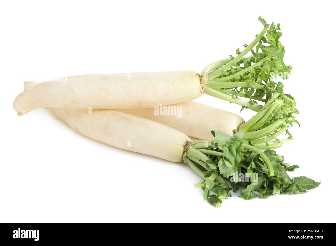Whole fresh turnips isolated on white. Vegetable root Stock Photo - Alamy