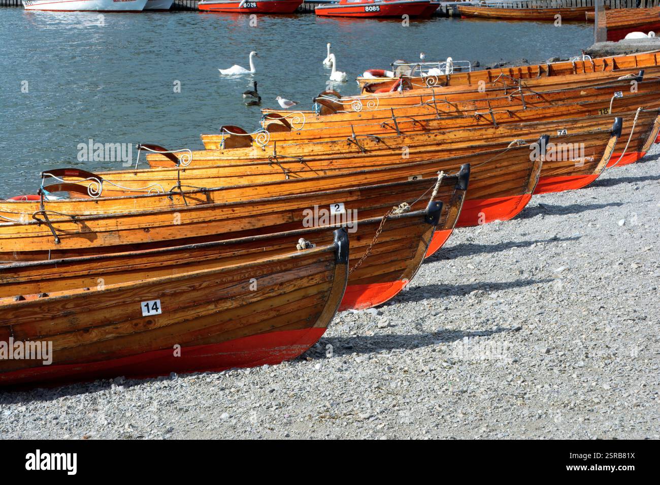 Traditional wooden rowing boats glide hi-res stock photography and ...