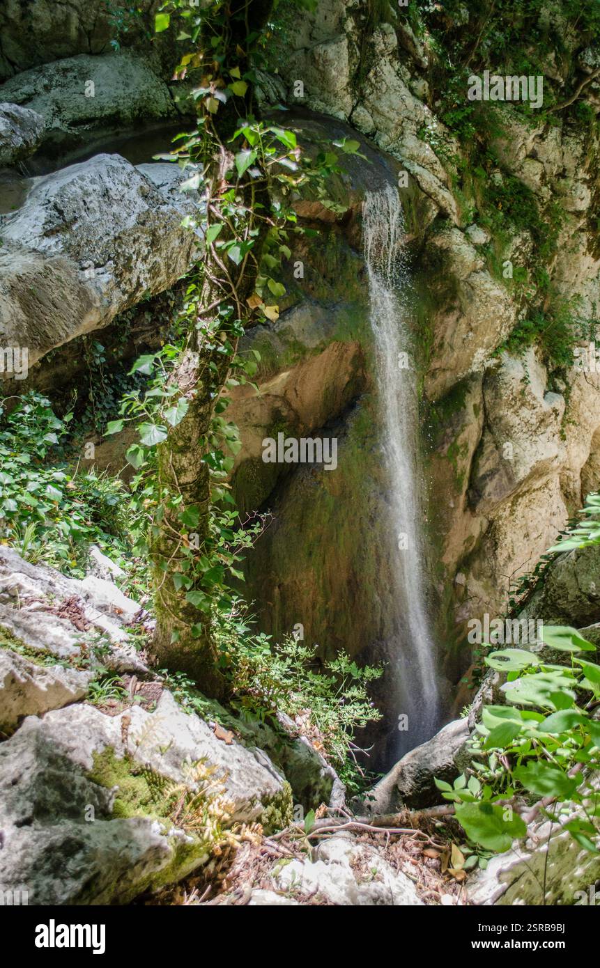 Gentle waterfall cascades down rugged cliff embraced by dense foliage ...