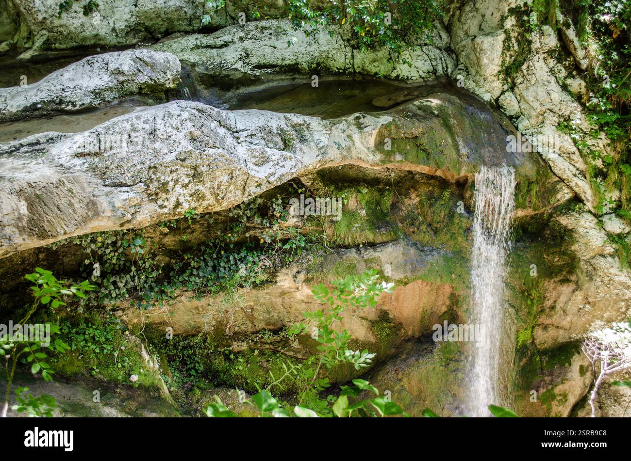 Gentle waterfall cascades down rugged cliff embraced by dense foliage ...