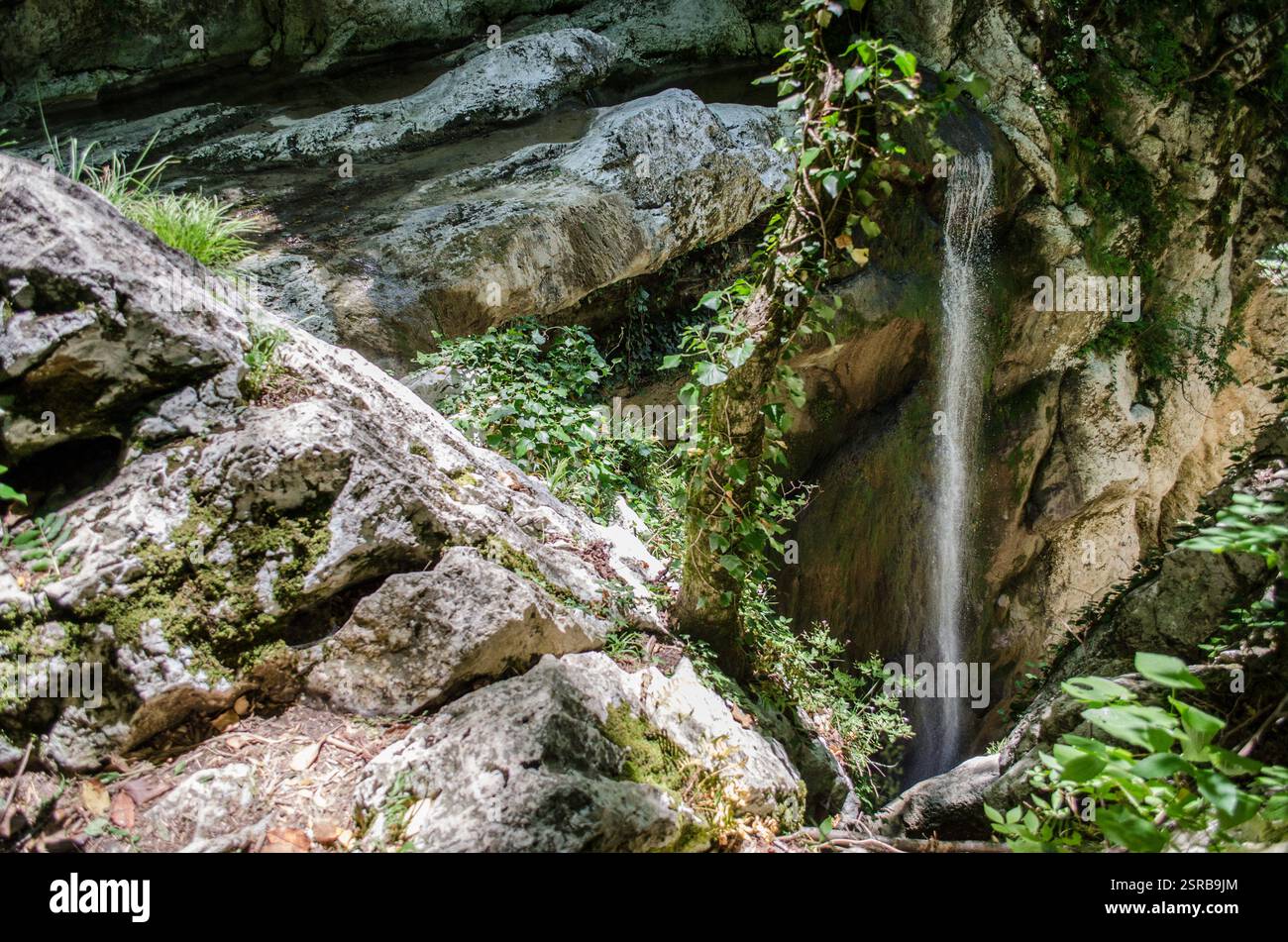 Gentle waterfall cascades down rugged cliff embraced by dense foliage ...