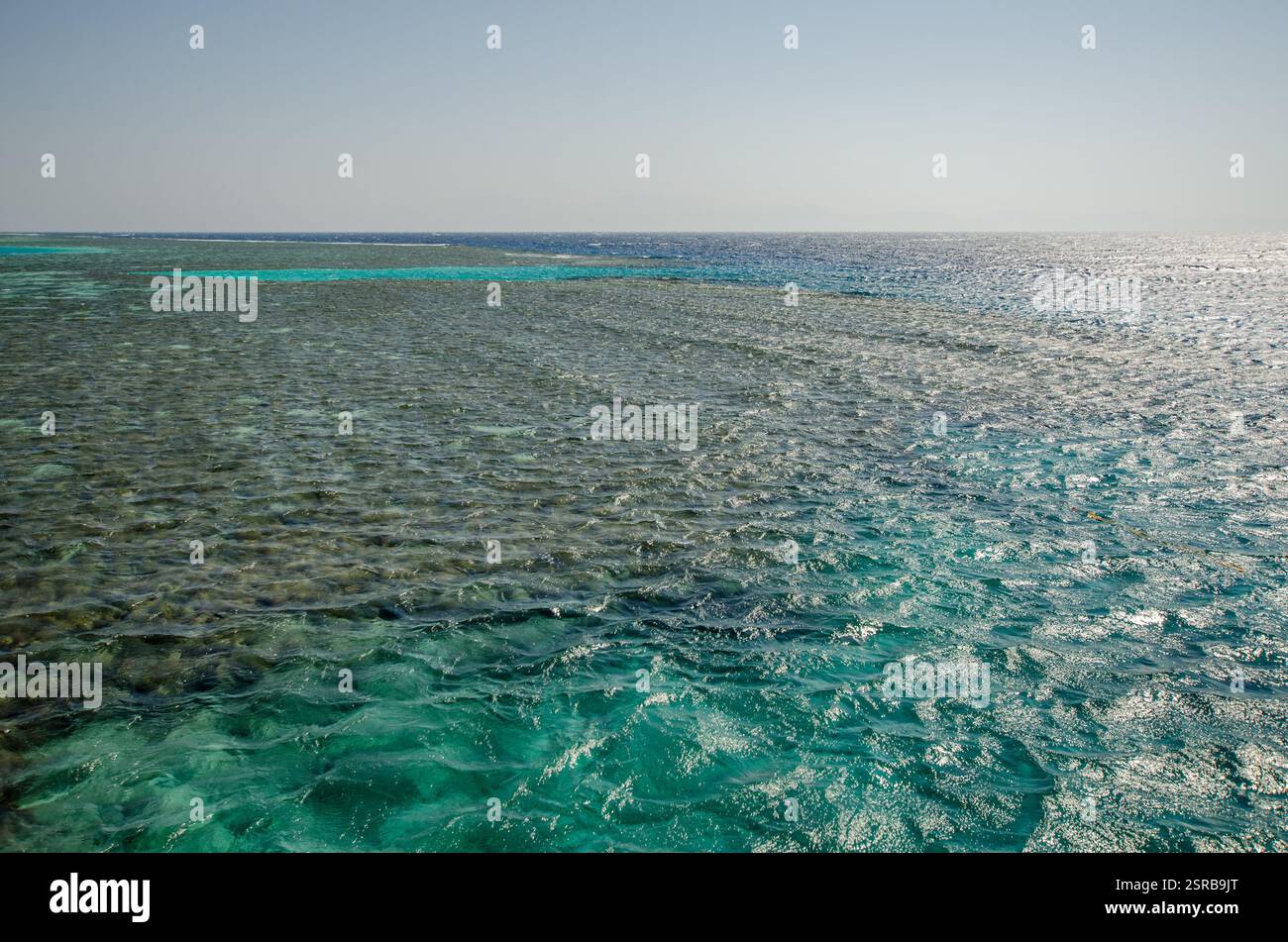 Expansive Red Sea scene with shimmering surface under bright sunlight ...